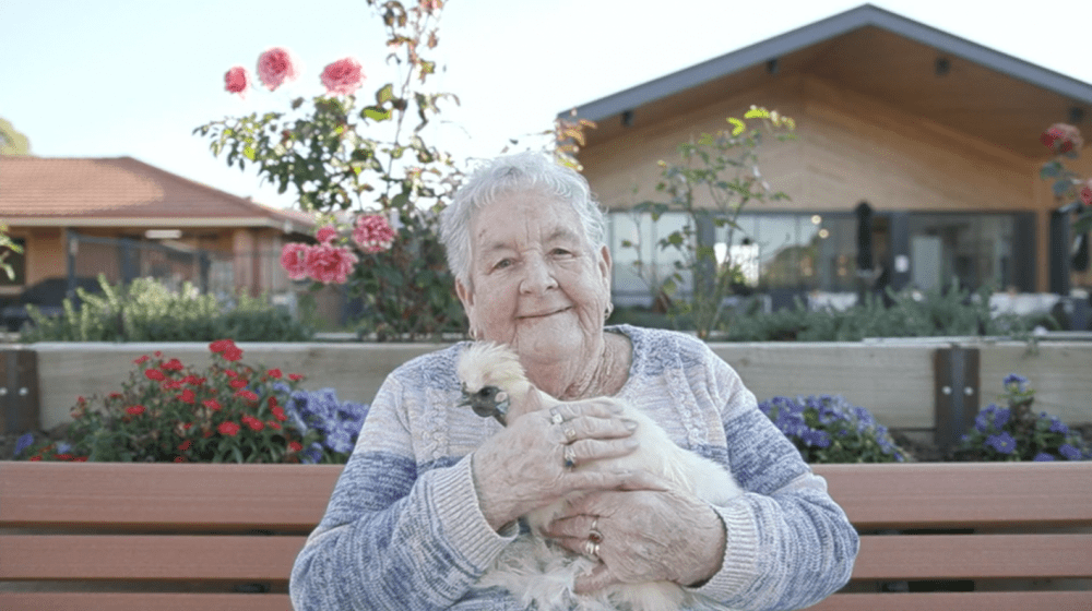 Hens making nursing home residents healthier and happier - Hellocare