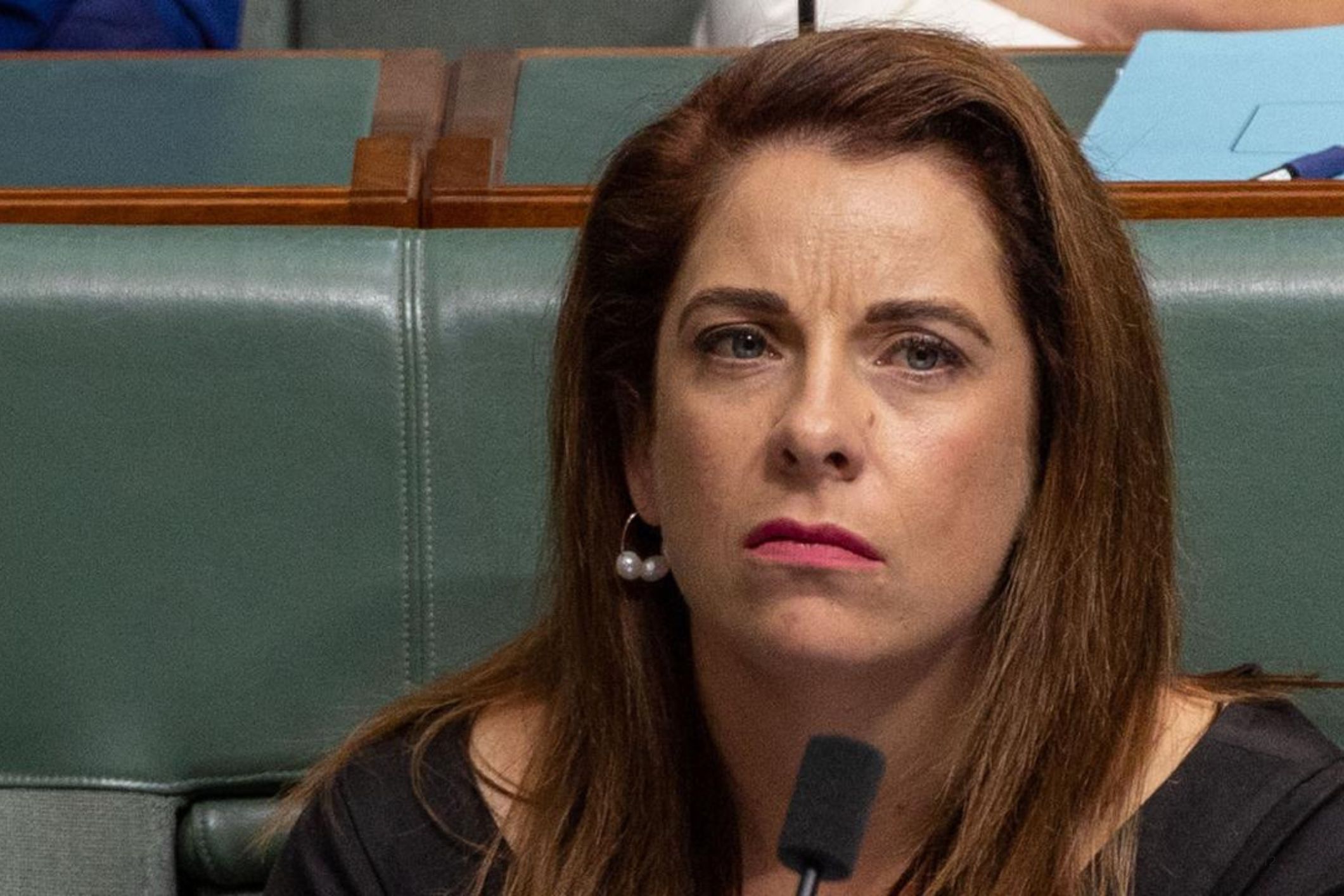 Former Aged Care Minister Anika Wells’ travel spree leaves taxpayers ...